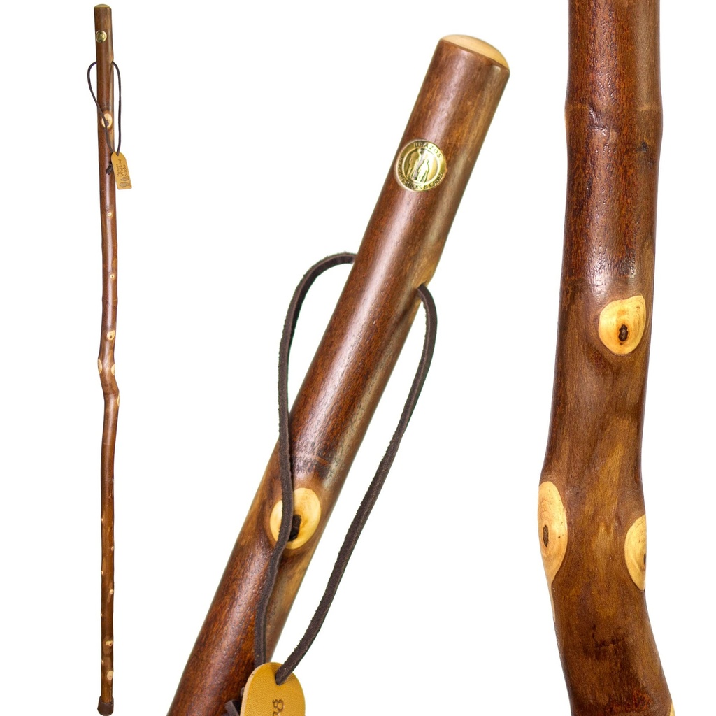MAPLE RUSTIC WALKING STICK 55 | Oksouq