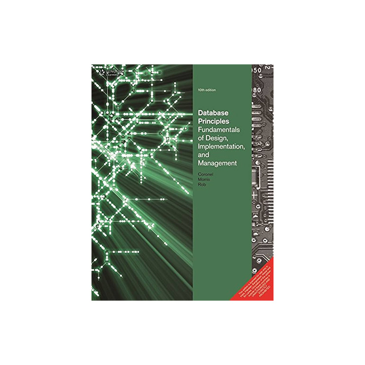 Database Principles Fundamentals Of Design - Implementation and Management | Oksouq